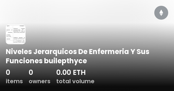 Niveles Jerarquicos De Enfermeria Y Sus Funciones Builepthyce