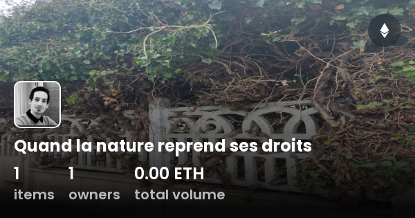 Quand la nature reprend ses droits - Collection | OpenSea Quand la nature reprend ses droits - Collection | OpenSea