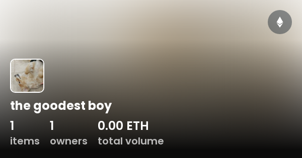 the goodest boy - Collection | OpenSea the goodest boy - Collection | OpenSea